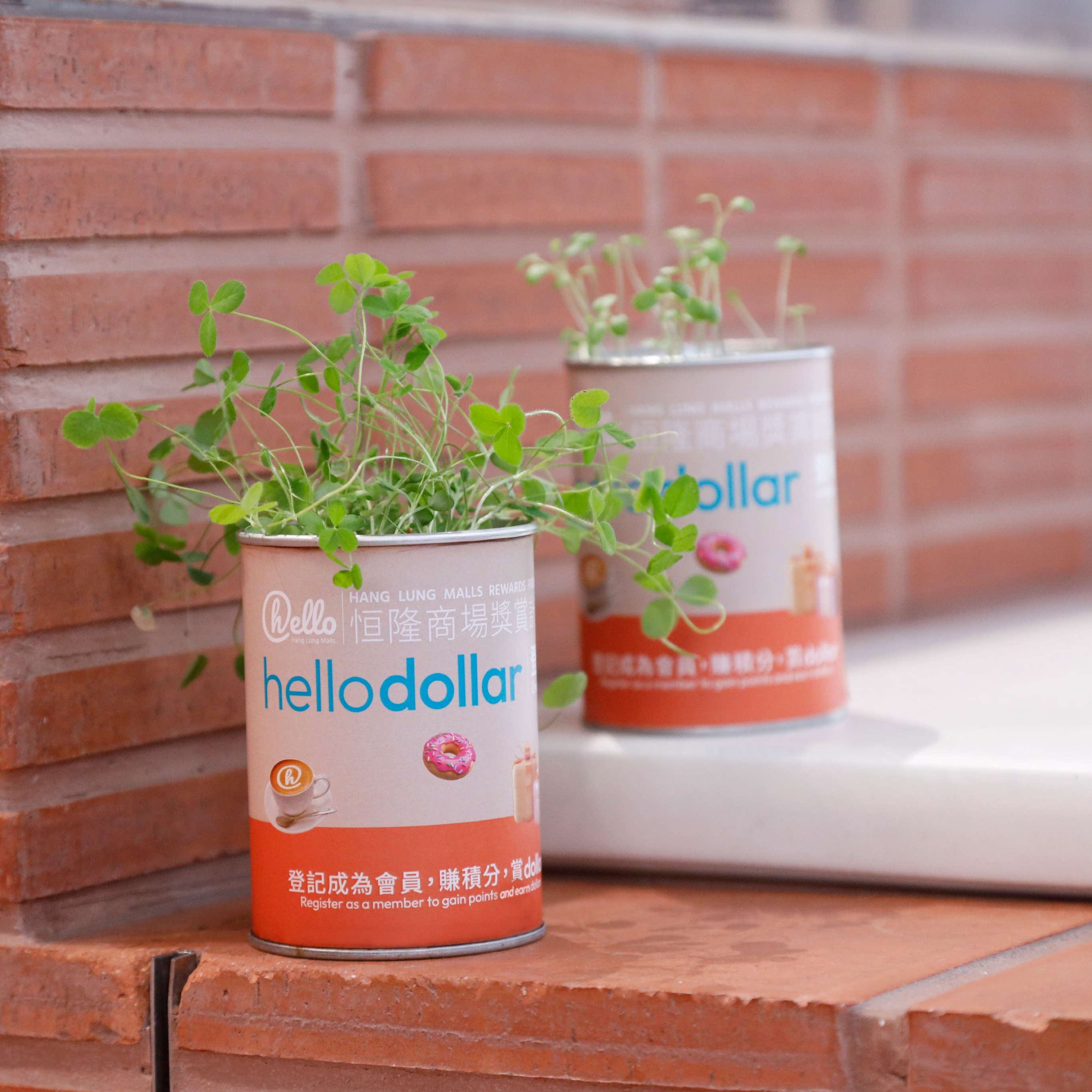 hello Green Rewards | Peak Galleria