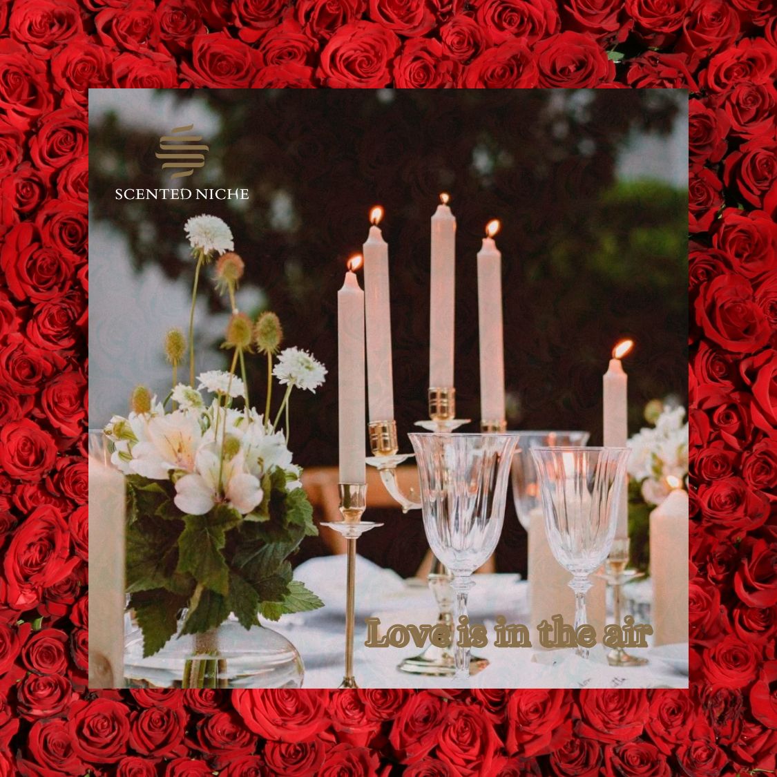 Receive a complimentary Trudon Navy Blue Madeleine Candle Set (Worth ...